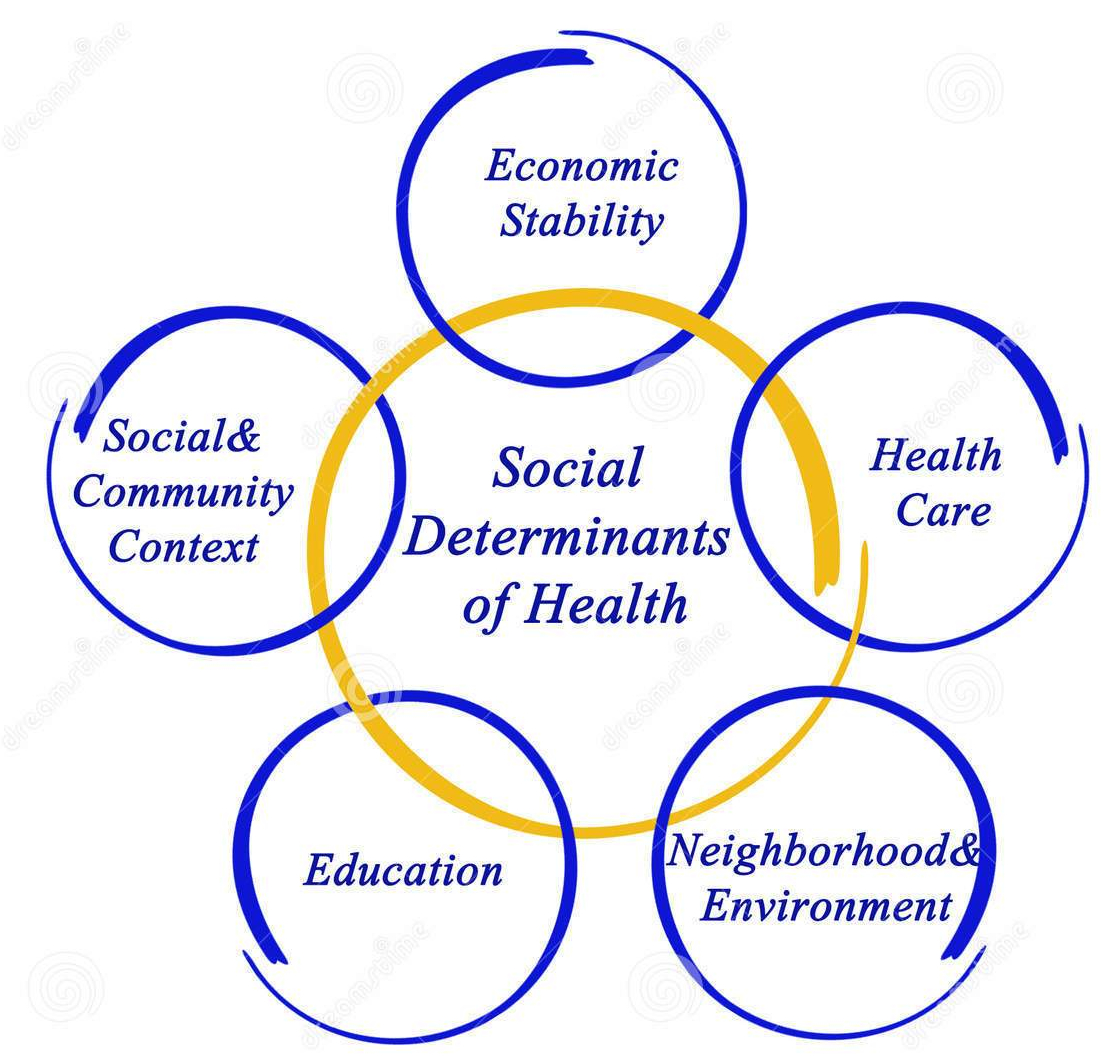 Social determinants of health: — Epigenovix | Epigenovix Diagnostics