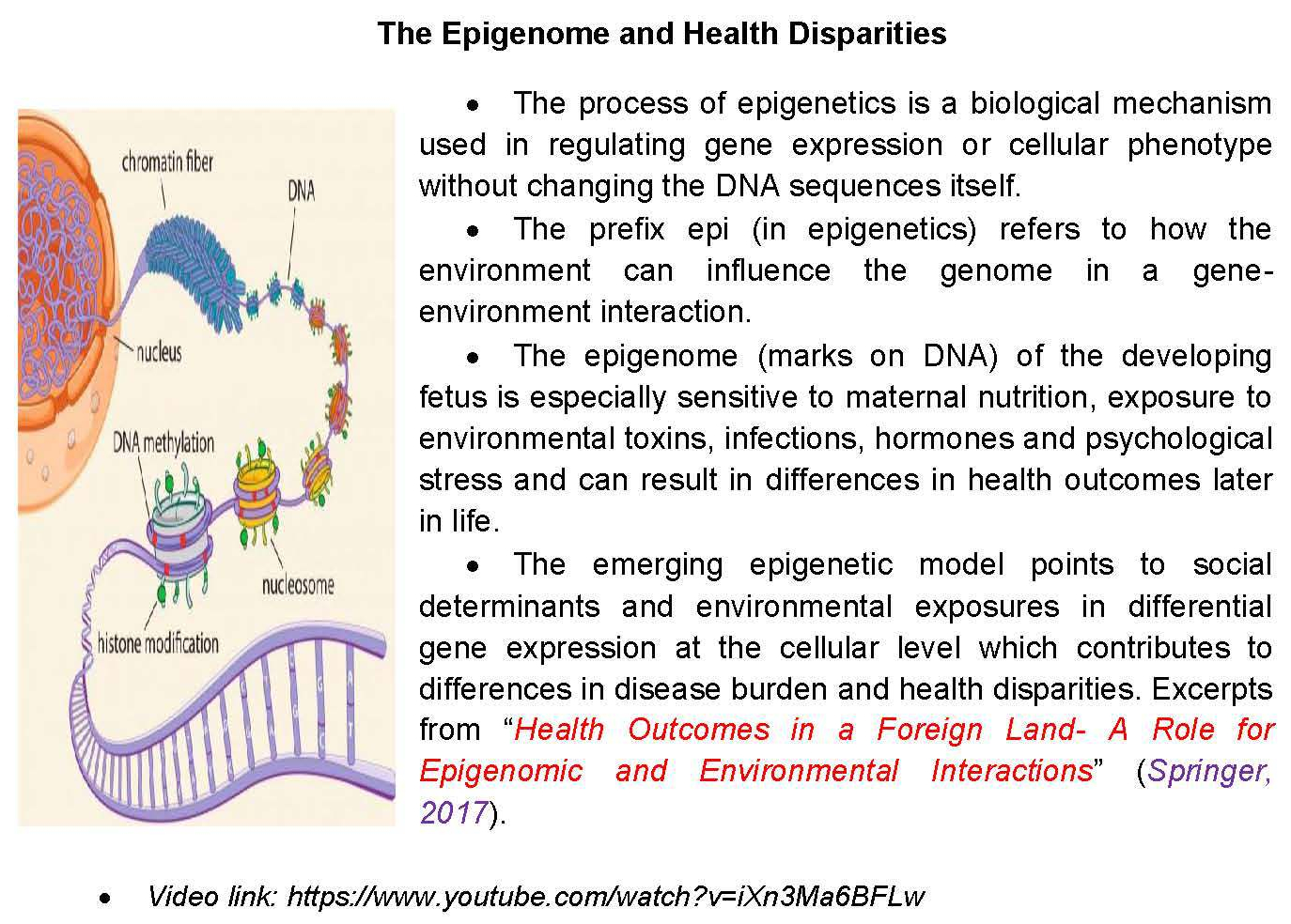 The Role of Epigenetics in Health Disparities | Epigenovix Diagnostics